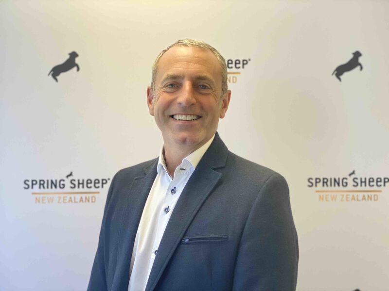 Team Stories - Spring Sheep (en-NZ)